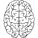 Understanding Biting Behaviour - TeamTeach Knowledge Hub