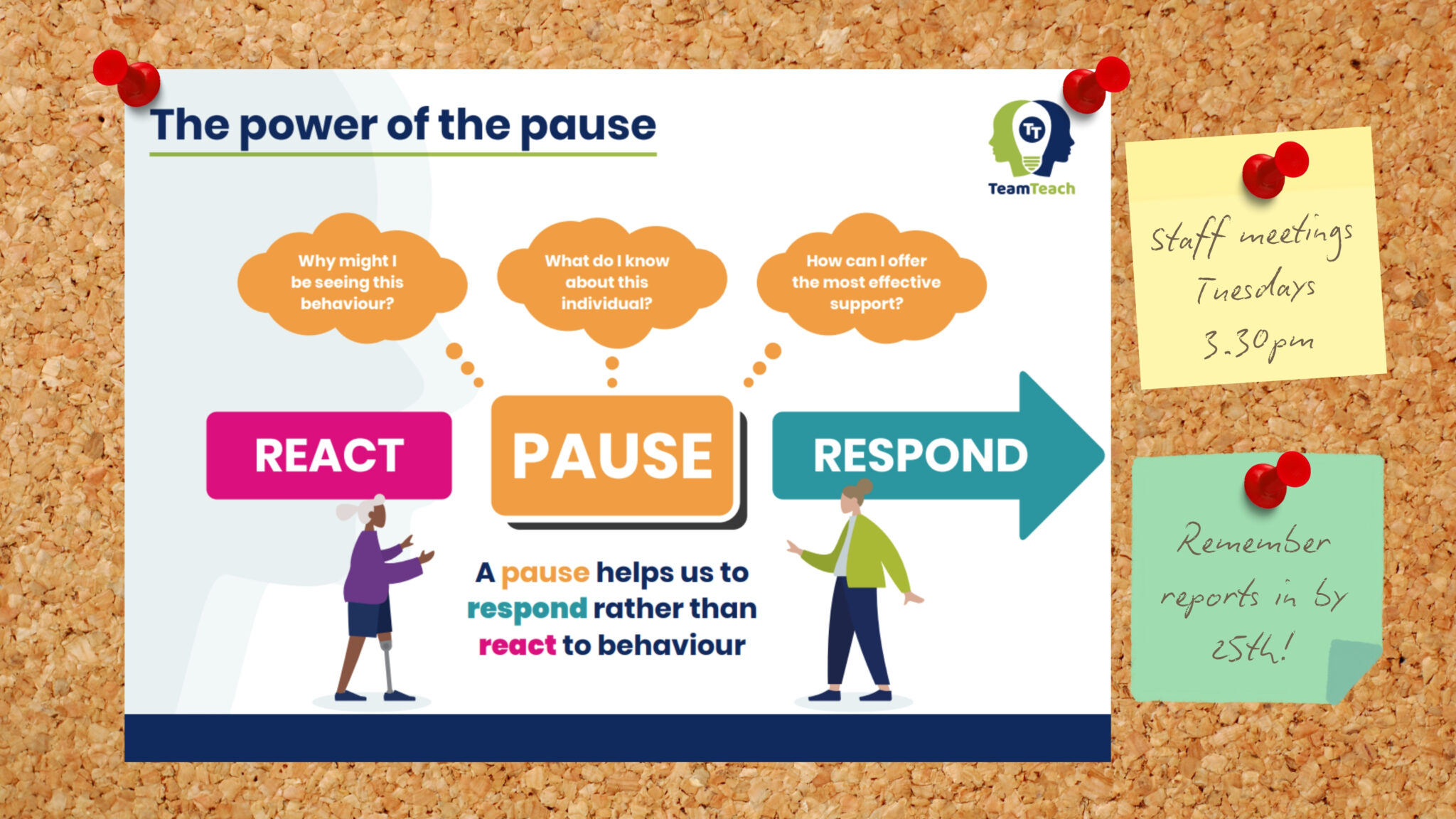 Dashboard - TeamTeach Knowledge Hub