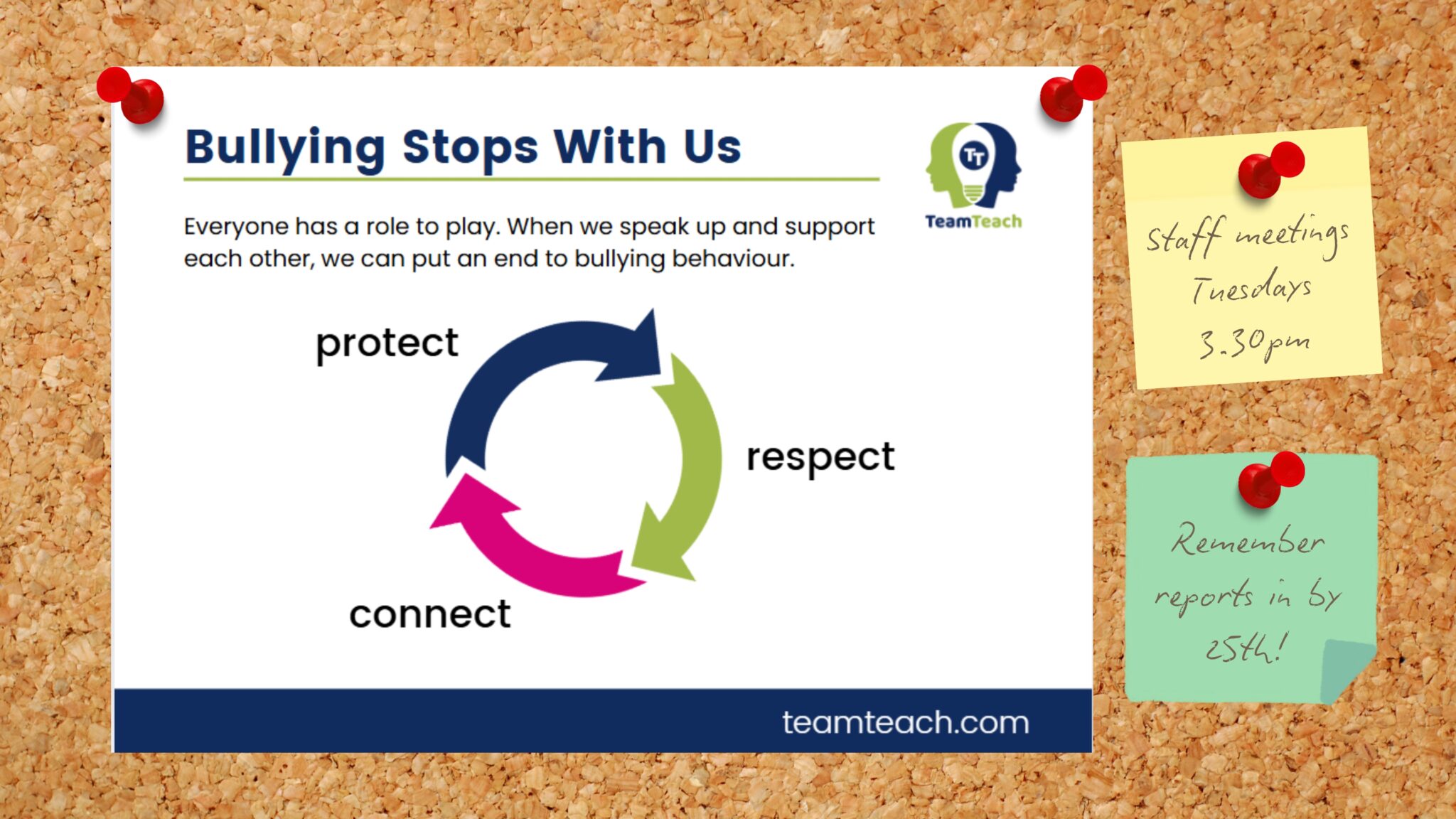 Dashboard - TeamTeach Knowledge Hub